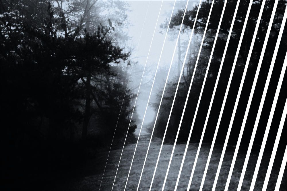 Introducing Shutter Network — Combating Front Running and Malicious MEV Using Threshold Cryptography